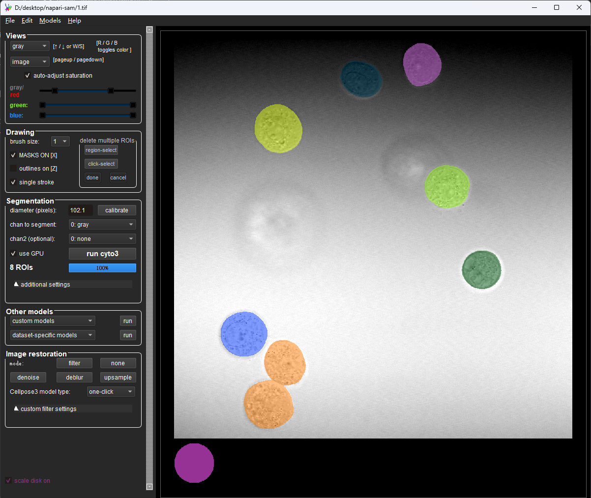 使用cellpose快速分割细胞 - 冬之阁